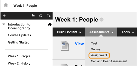 1 Minute Guide: Creating Assignments in Blackboard